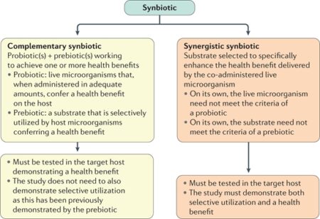 Simbióticos, el potencial de la unión de microorganismos y energía